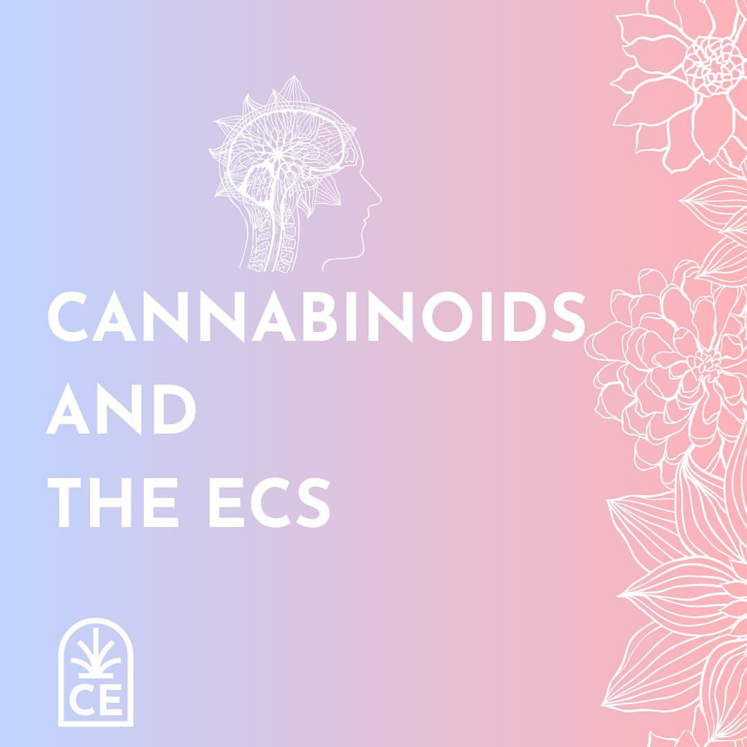 D8 Moon Rocks – TheCannEssentials