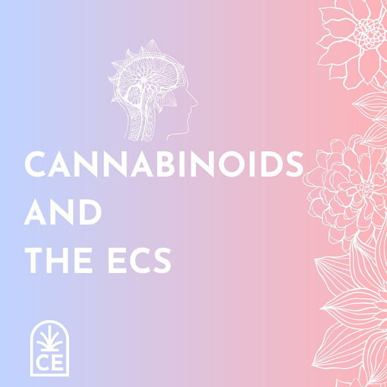 D8 Moon Rocks – TheCannEssentials