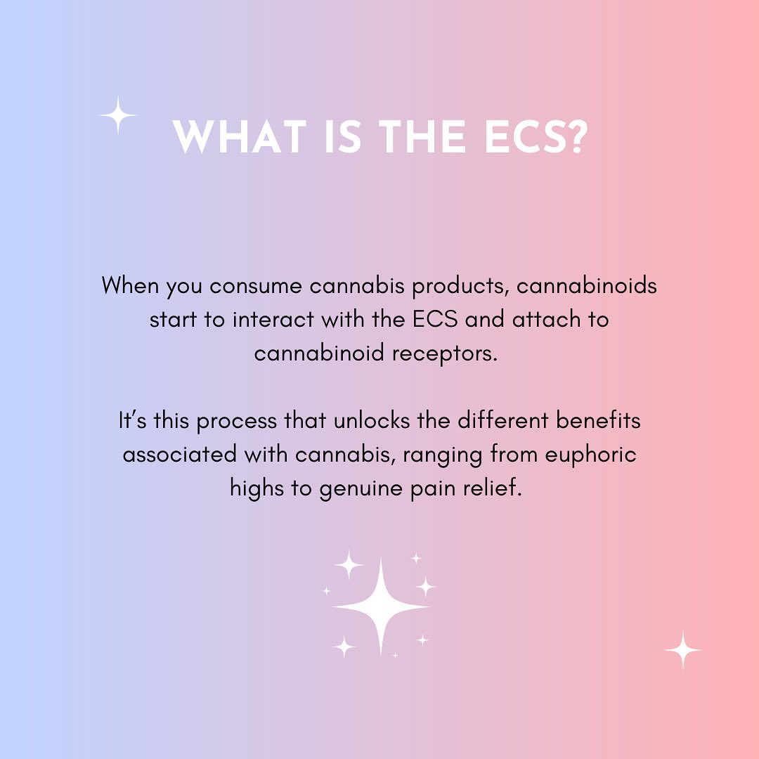 D8 Moon Rocks – TheCannEssentials